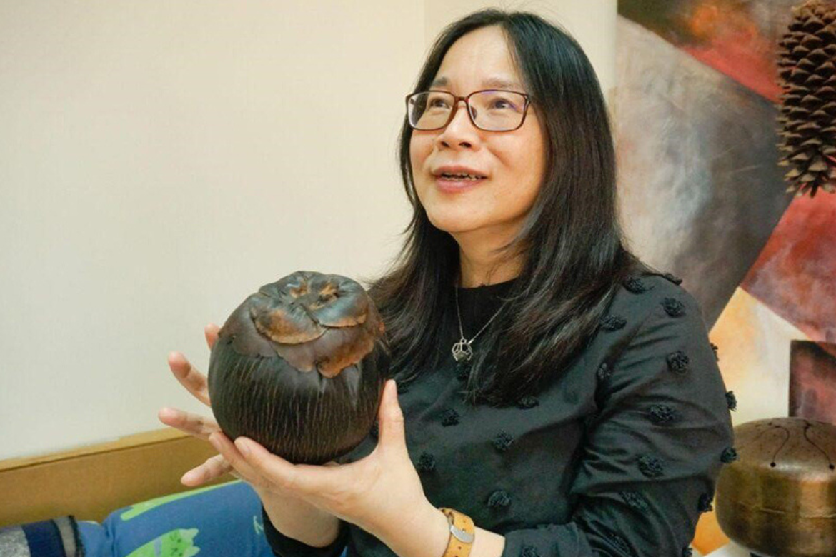 NEWS-From Chimneys to a Living Museum! NYCU Facilitates the Magical ...