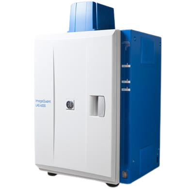 Image System-[YangMing] Luminescence/Fluorescence Image System_LAS-4000 ...