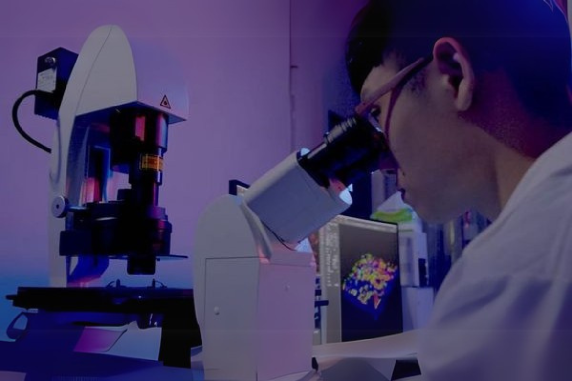 NEWS-Beyond University Rankings: Why is the Electronics and Electrical Engineering Department ...